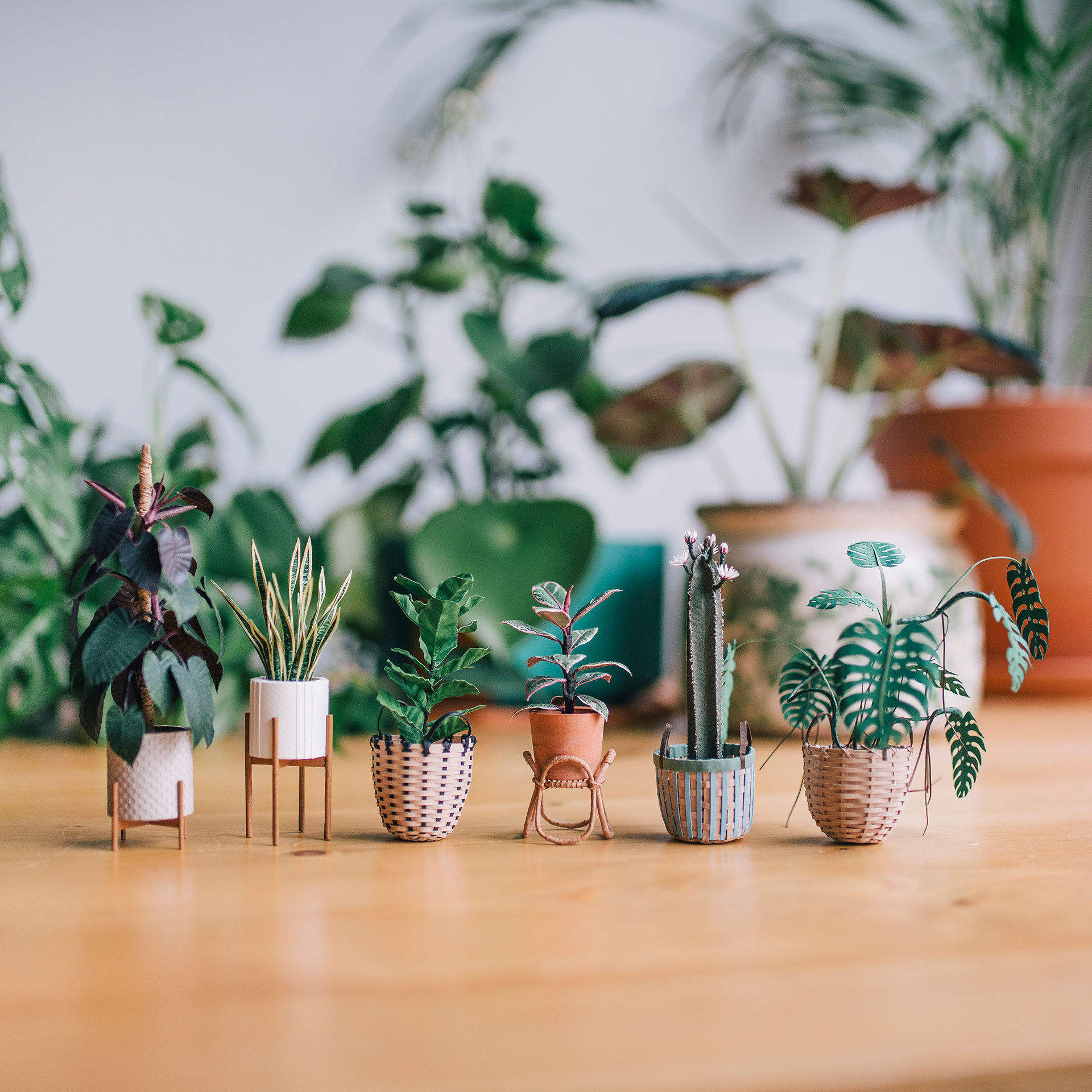 Tiny Big Paper House Plants - Paper Artist and Designer