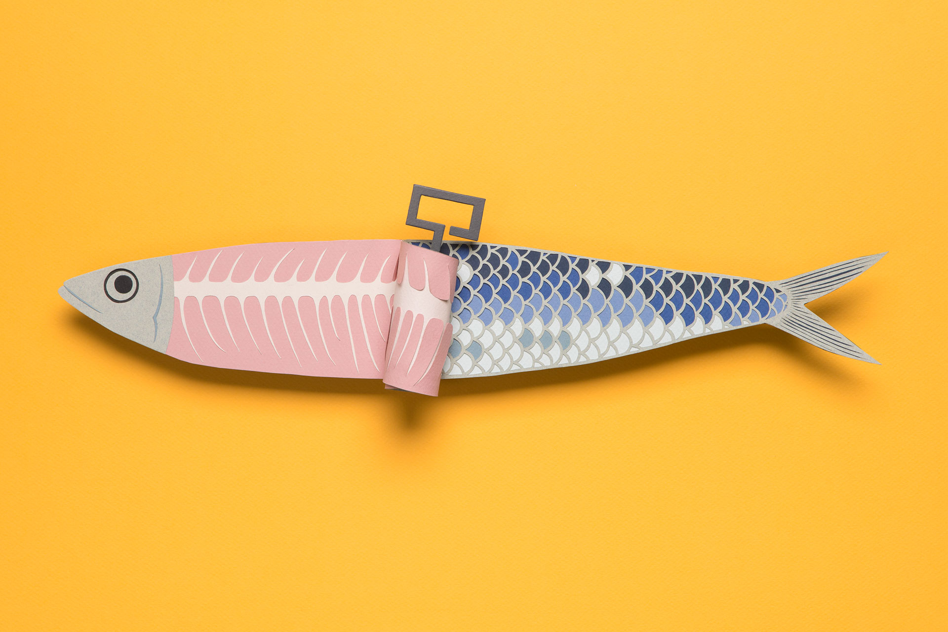 Paper Sardine - Paper Artist and Designer